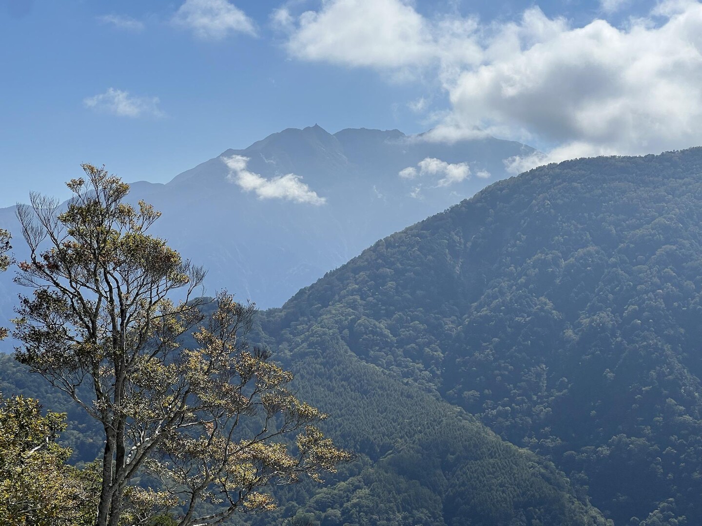 日向山 / kalo_zzzさんのウォーキングの活動データ | YAMAP / ヤマップ