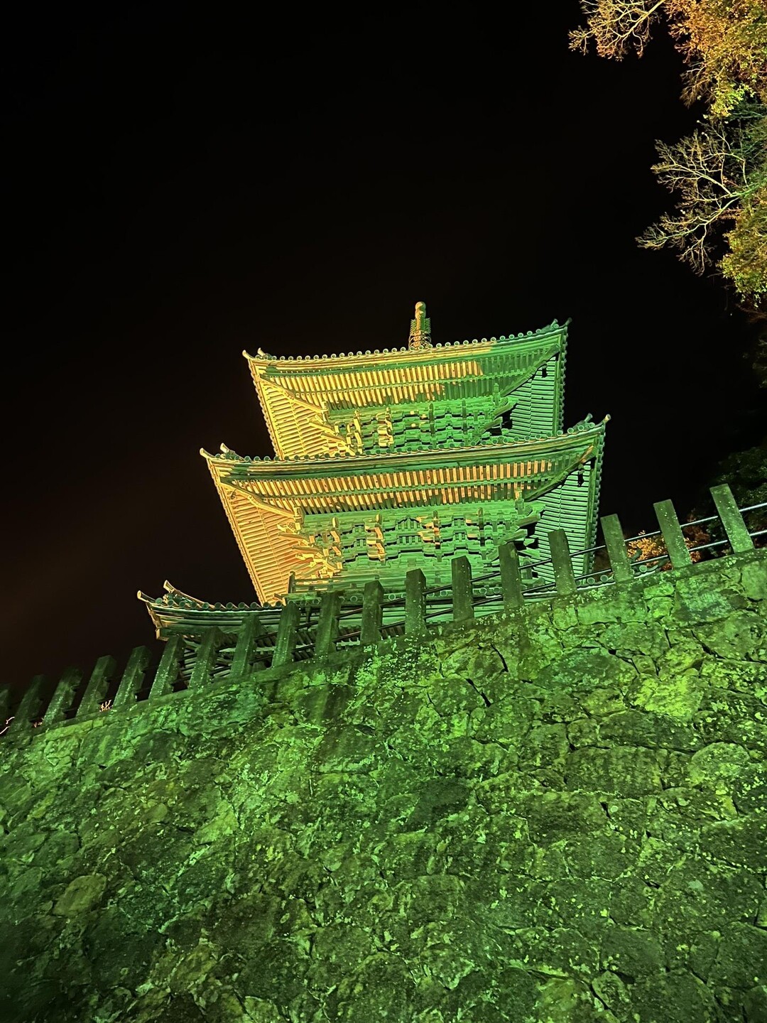 あけましておめでとうございます。今年は小... / Keiさんのモーメント | YAMAP / ヤマップ