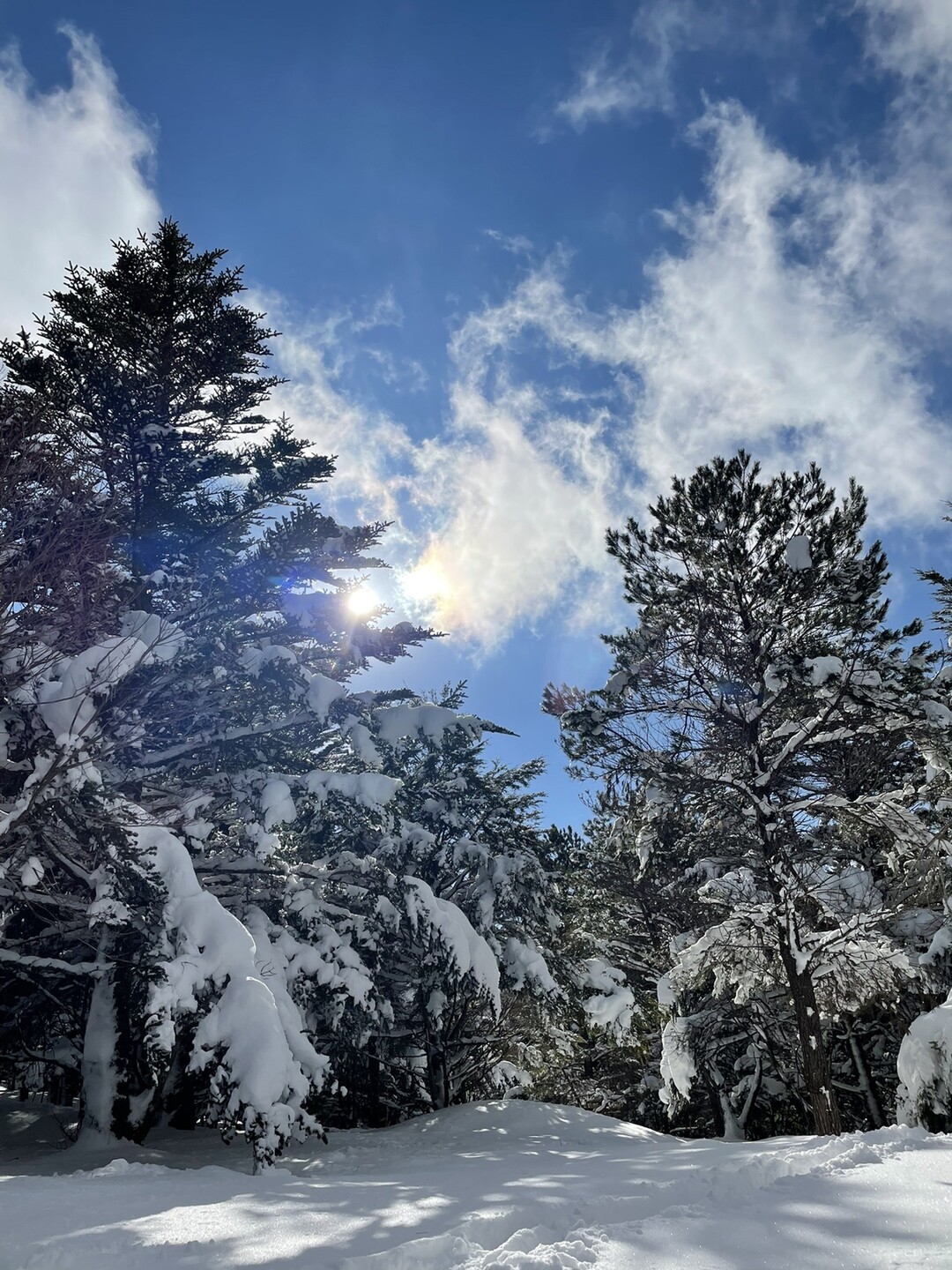 2022.01.16(日) 22:34 / ふみJJさんのモーメント | YAMAP / ヤマップ