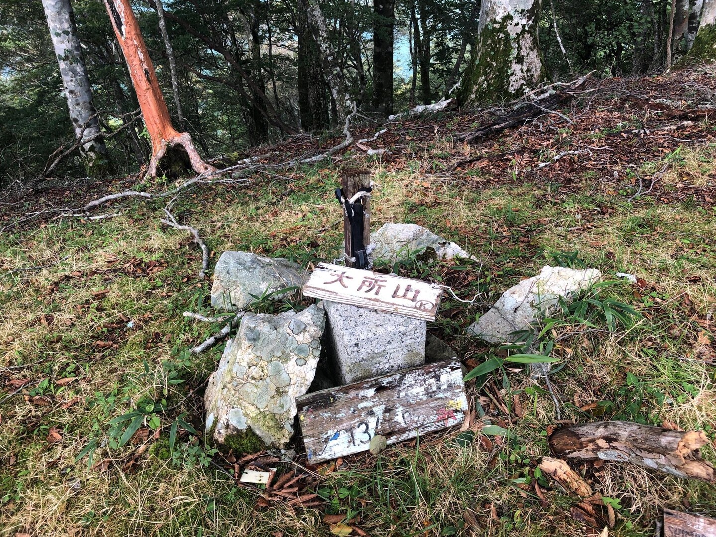 百合ヶ岳（大所山）・尼ノエ / HiHiAさんの観音峯山・大普賢岳・山上ヶ岳・稲村ヶ岳の活動データ | YAMAP / ヤマップ