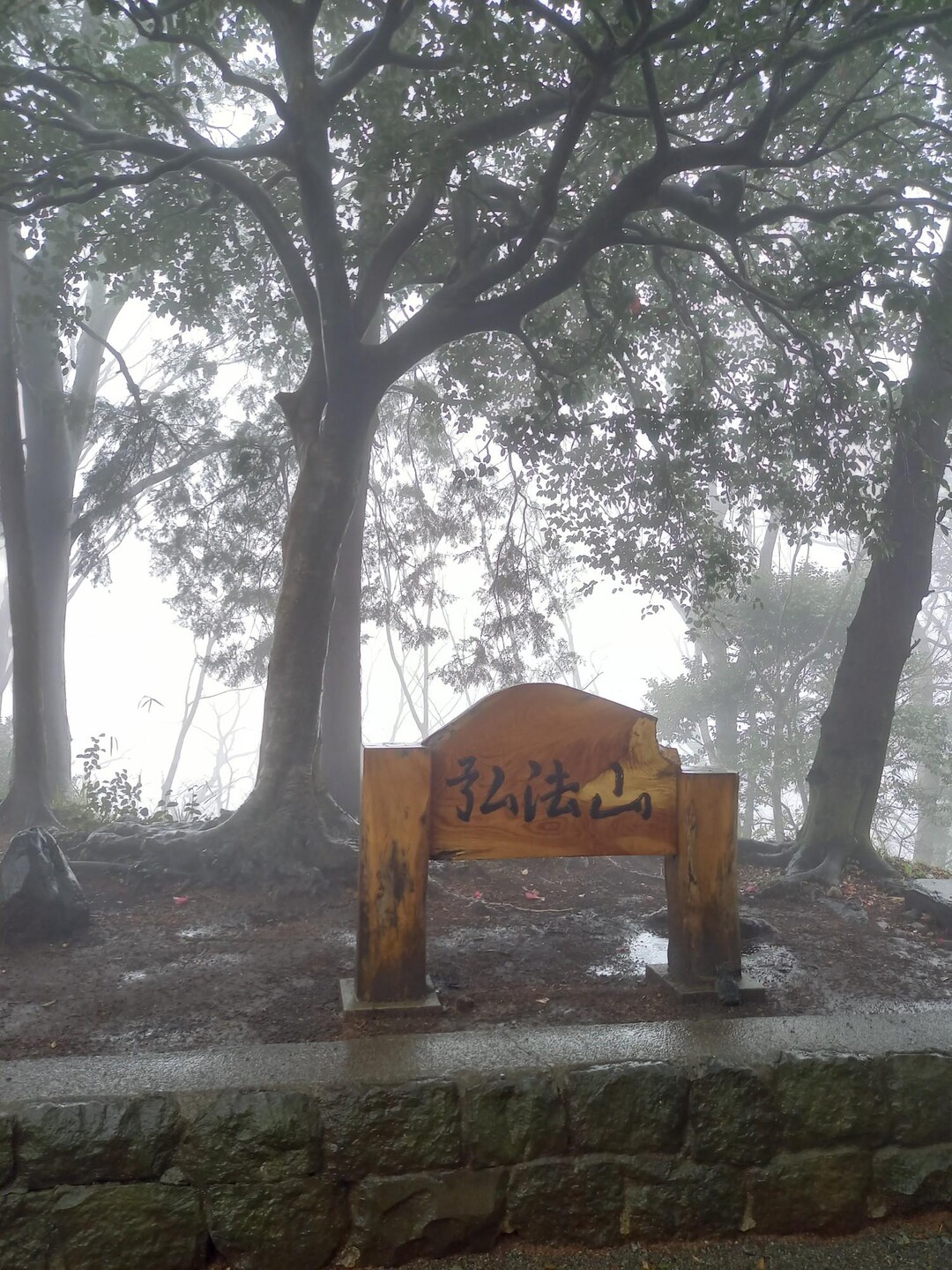 権現山・弘法山・吾妻山 / ayakootaさんの弘法山の活動データ | YAMAP / ヤマップ