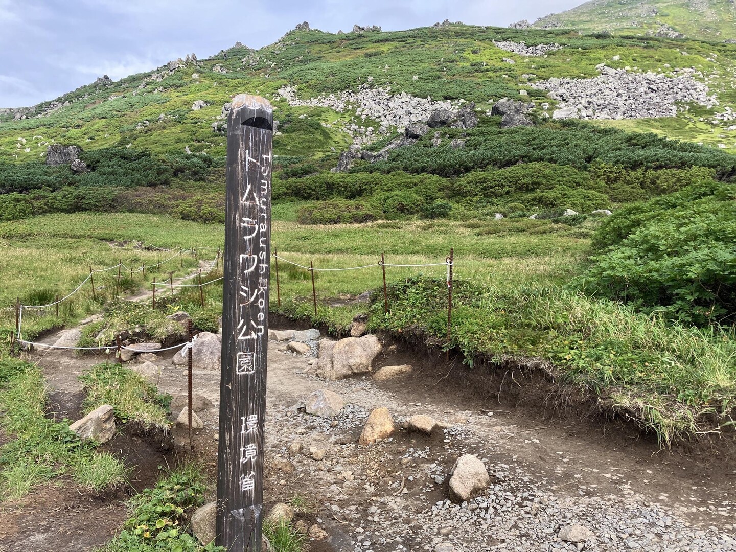 振られ気分でロックンロールby トムラウシ山 / たまちゃんさんのGT3 2の活動データ | YAMAP / ヤマップ