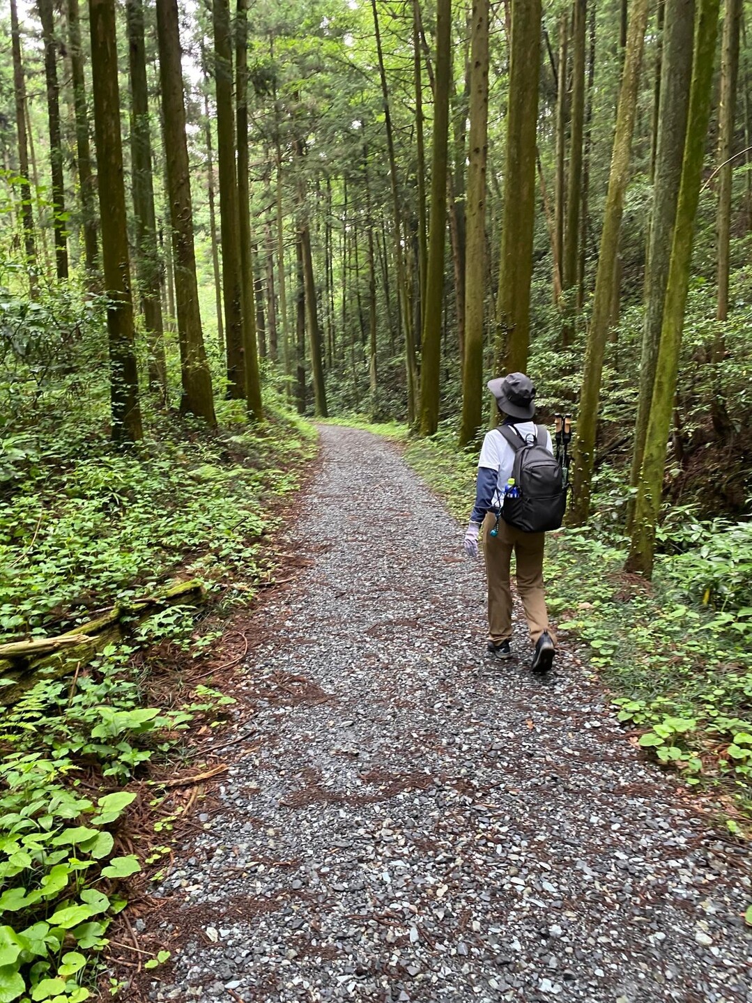 senがフォローしているユーザー一覧 | YAMAP / ヤマップ