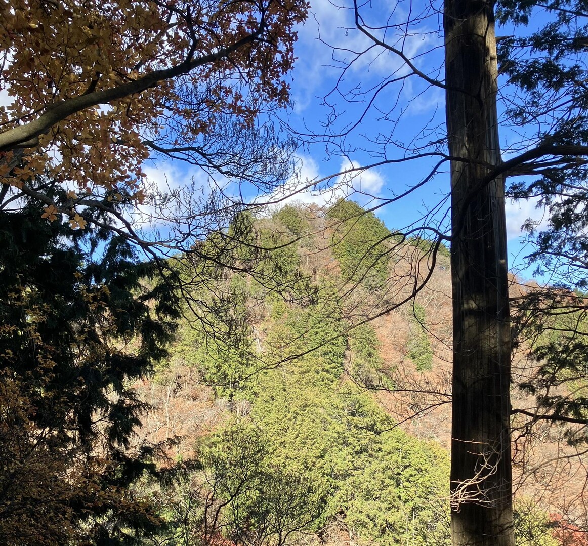 石裂山 / NATSUKI.Kさんの石裂山の活動データ | YAMAP / ヤマップ