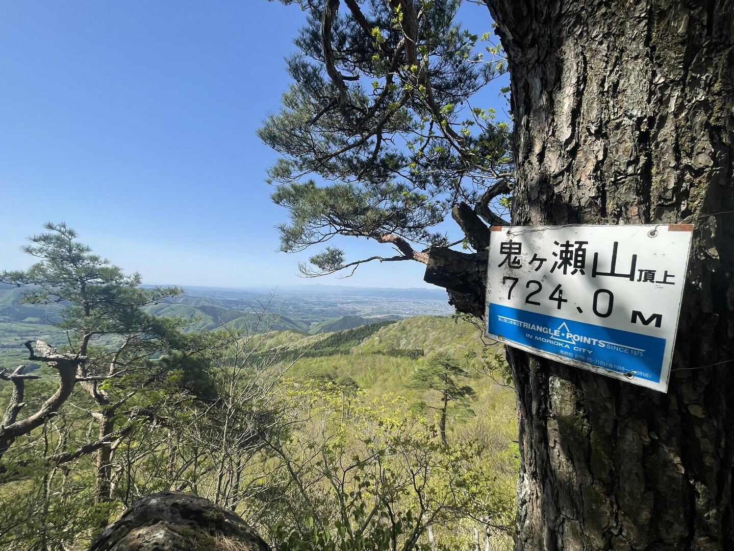 R6.5.3鬼ヶ瀬山〜乙部三山コンプリート〜 / ハルキさんの黒森山・朝島山の活動日記 | YAMAP / ヤマップ