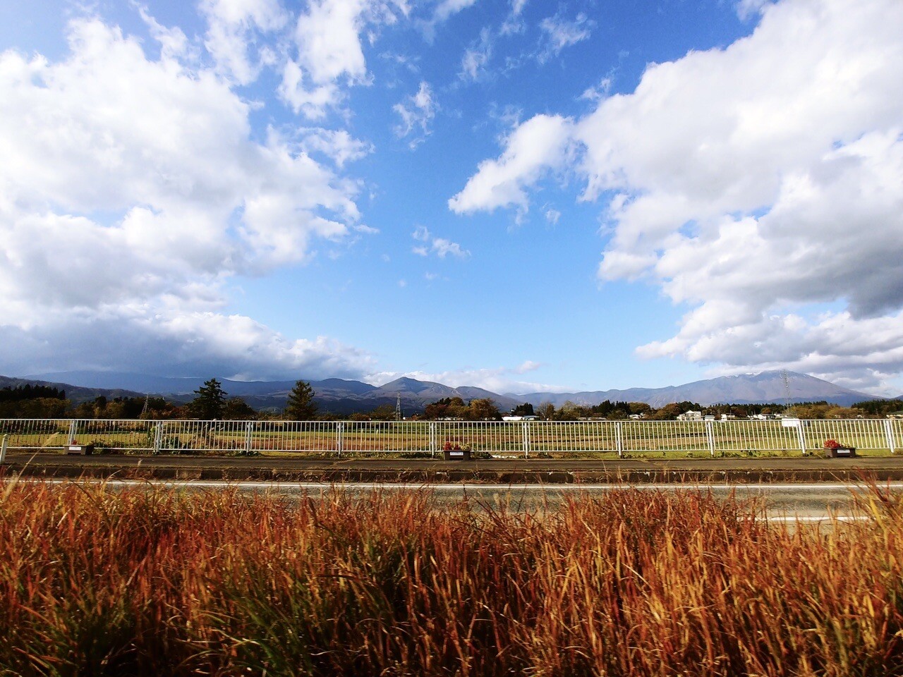 日曜はどこ行くか 網張から岩手山… 無理... / TERITAMAさんのモーメント | YAMAP / ヤマップ