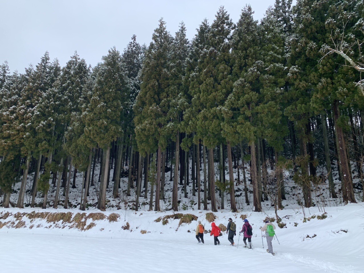猟師と一緒に里山スノーシュー♪ 鹿肉スー... / hoshiさんのモーメント | YAMAP / ヤマップ