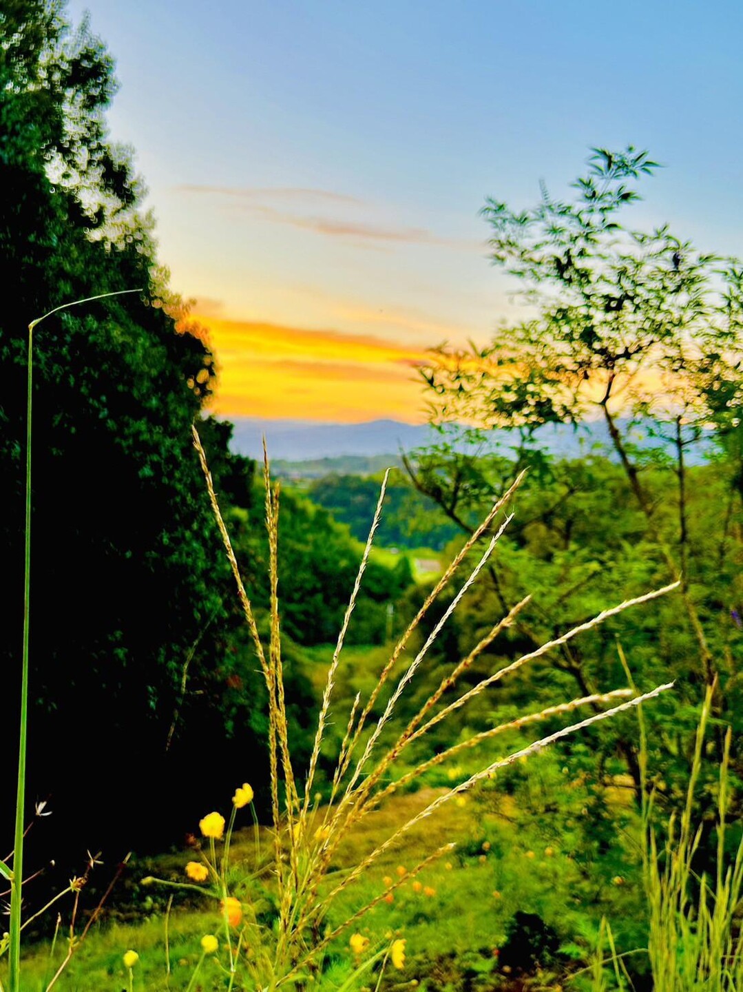 2023.09.25(月) 05:24 / Joan Chandler さんのモーメント | YAMAP / ヤマップ