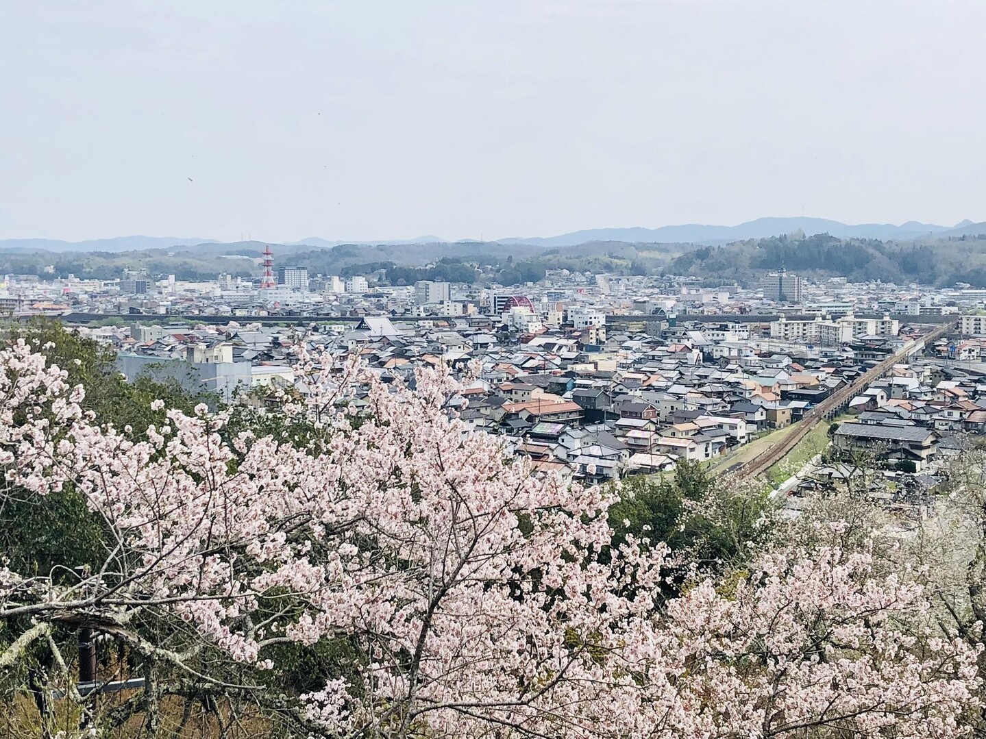 〇高谷山（展望台）・〇尾関山 / Coo・kie（くぅ🗝️）さんの高谷山の活動データ | YAMAP / ヤマップ