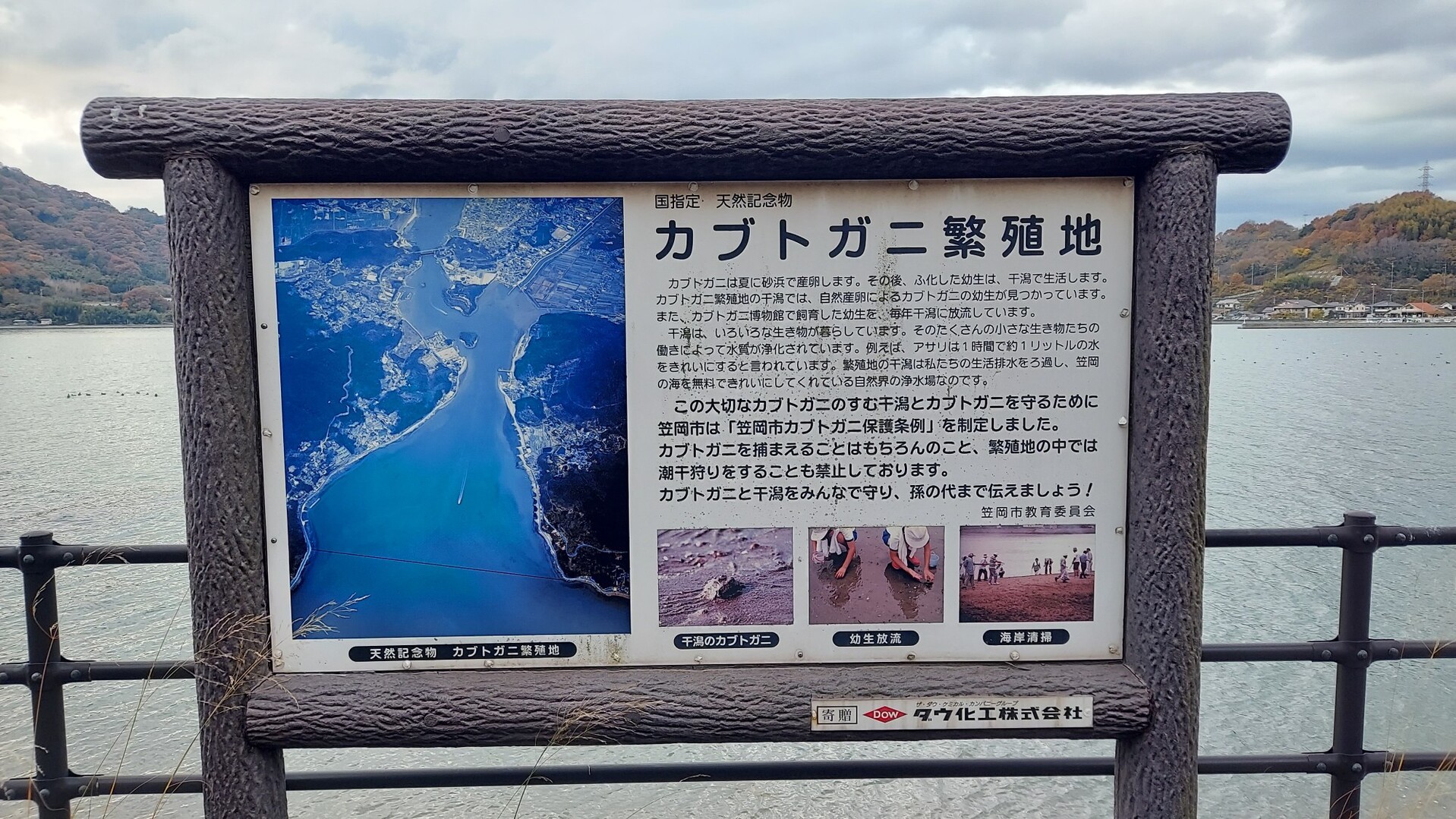 カブトガニ繁殖地の笠岡市。夏に産卵すると... / tolucky(^^)さんのモーメント | YAMAP / ヤマップ