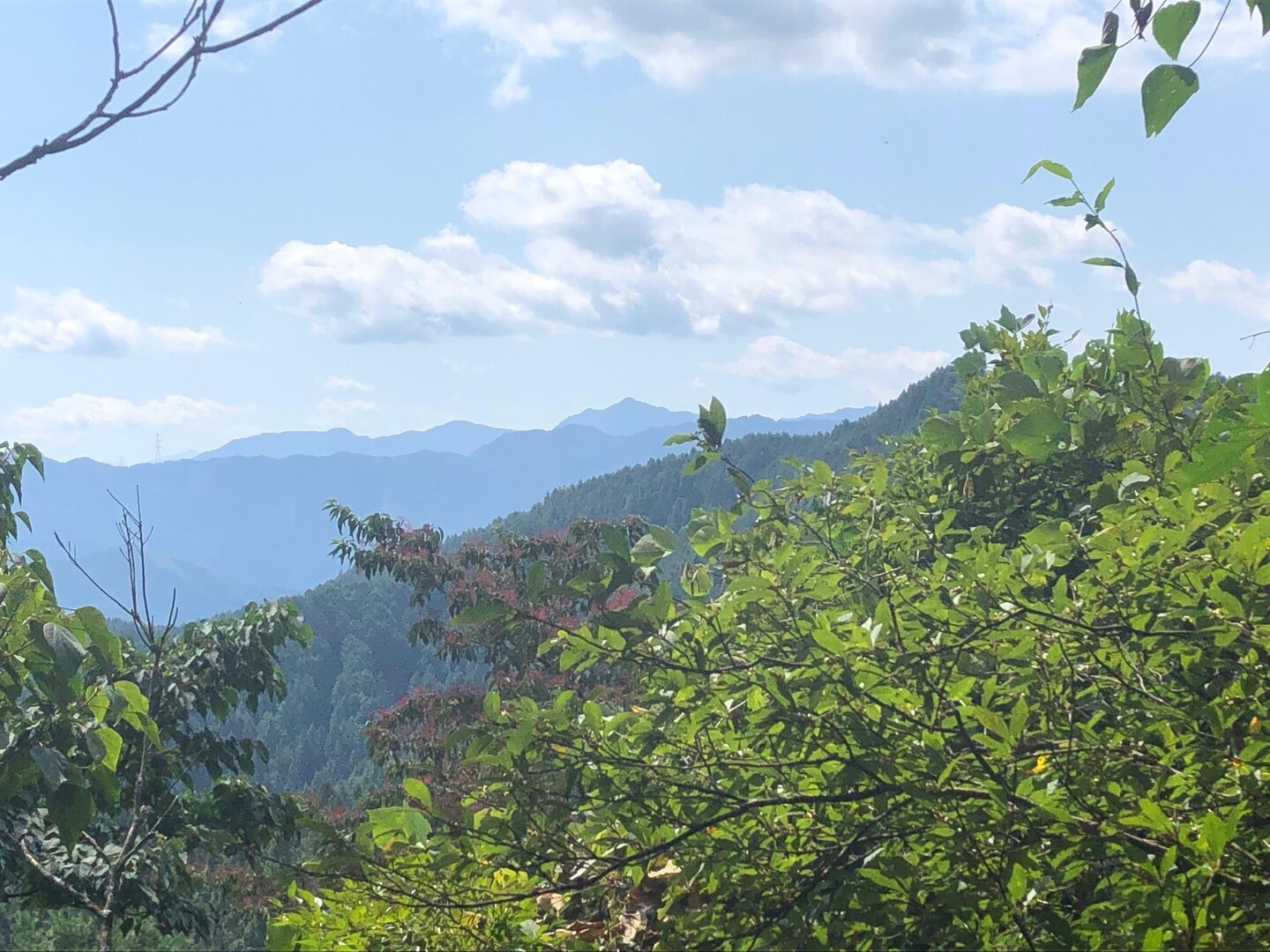 矢頭山周回コース / Mt.zakiさんの矢頭山の活動データ | YAMAP / ヤマップ