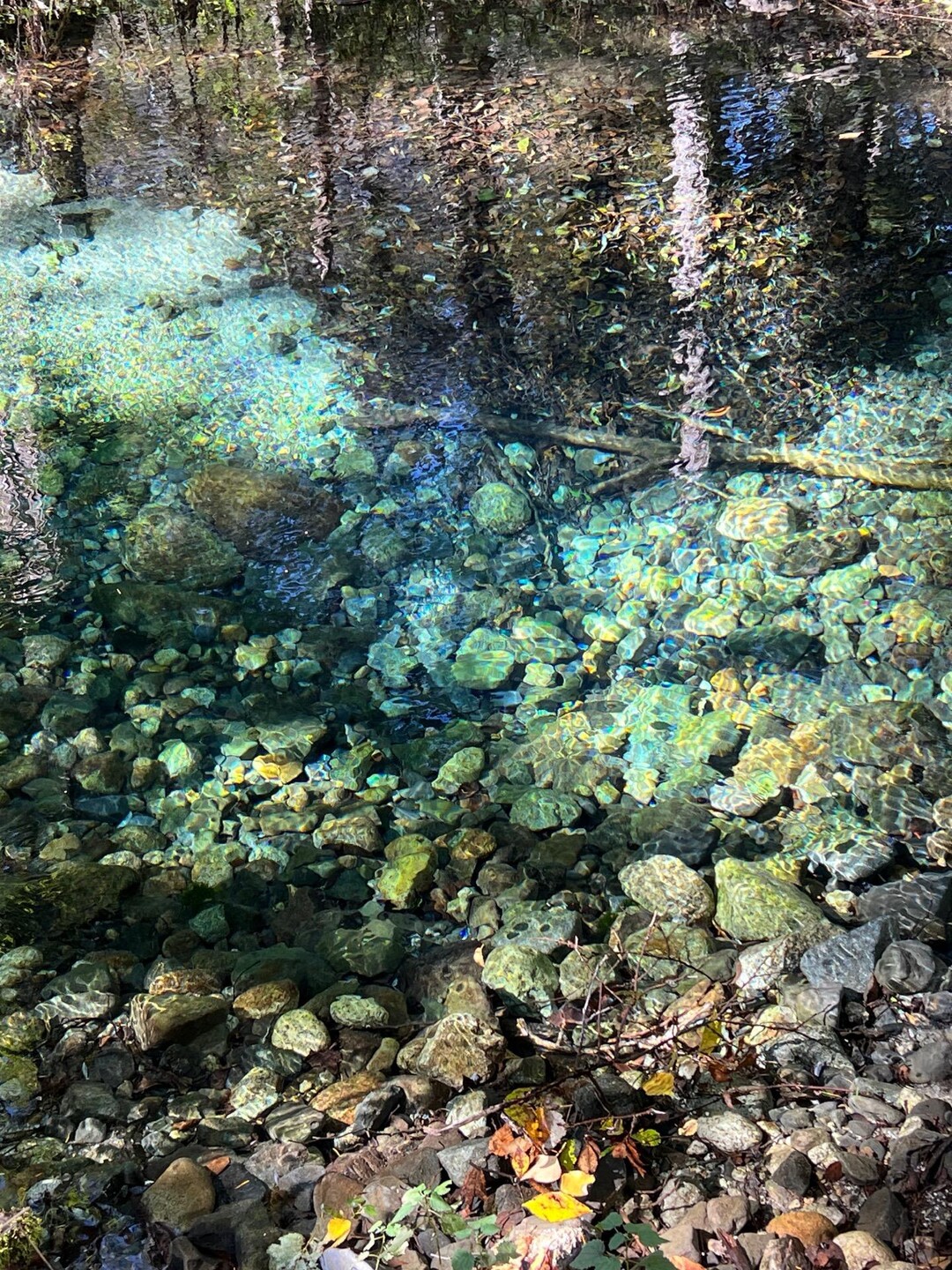 上高地ハイキング / sakさんの槍ヶ岳・穂高岳・上高地の活動データ | YAMAP / ヤマップ