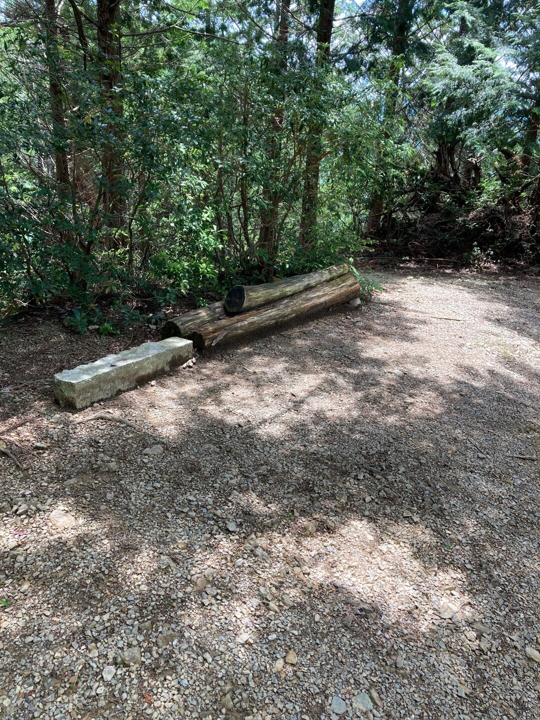 naokiさんの投稿したフィールドメモ | YAMAP / ヤマップ