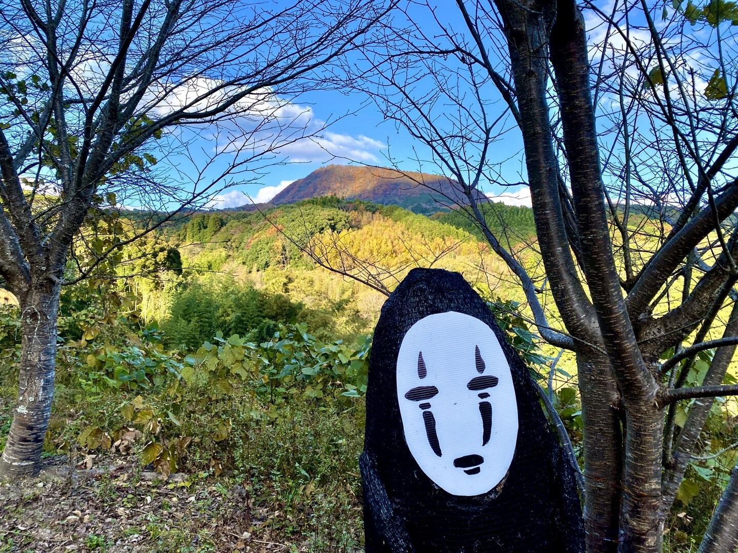 キッキ恋の季節！燃ゆる『高崎山』再び / ケムタク（Kemutaku）さんの高崎山の活動データ | YAMAP / ヤマップ