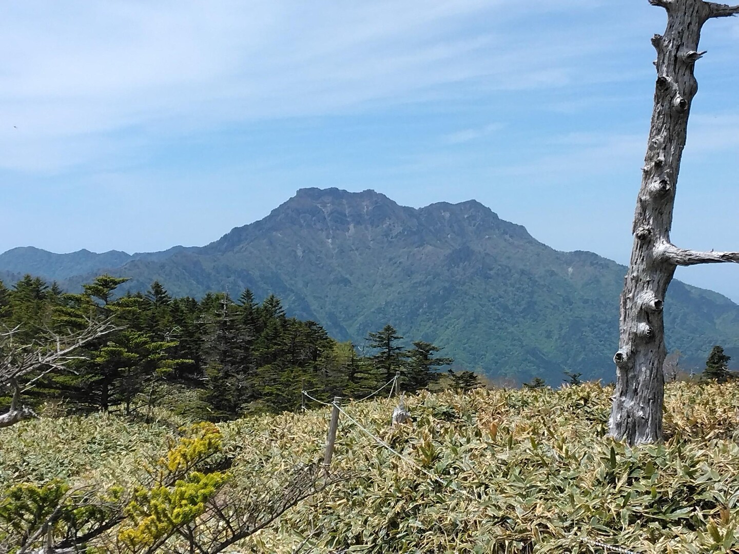 瓶ケ森・西黒森ウォーキング-2024-05-17 / まえたかさんの瓶ヶ森・伊予富士の活動データ | YAMAP / ヤマップ