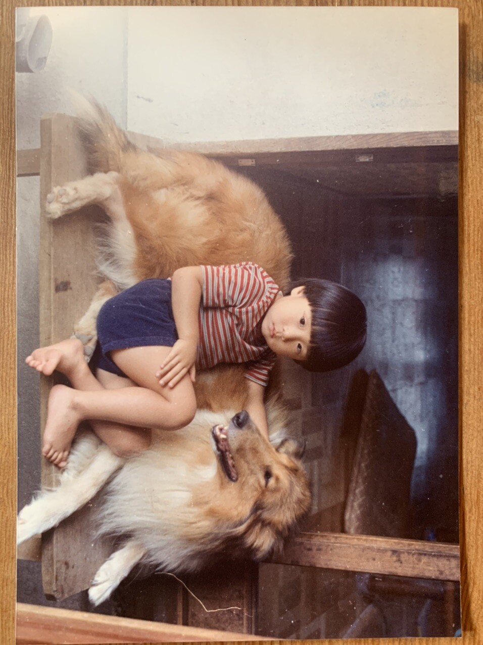 iCHiroのページ | YAMAP / ヤマップ