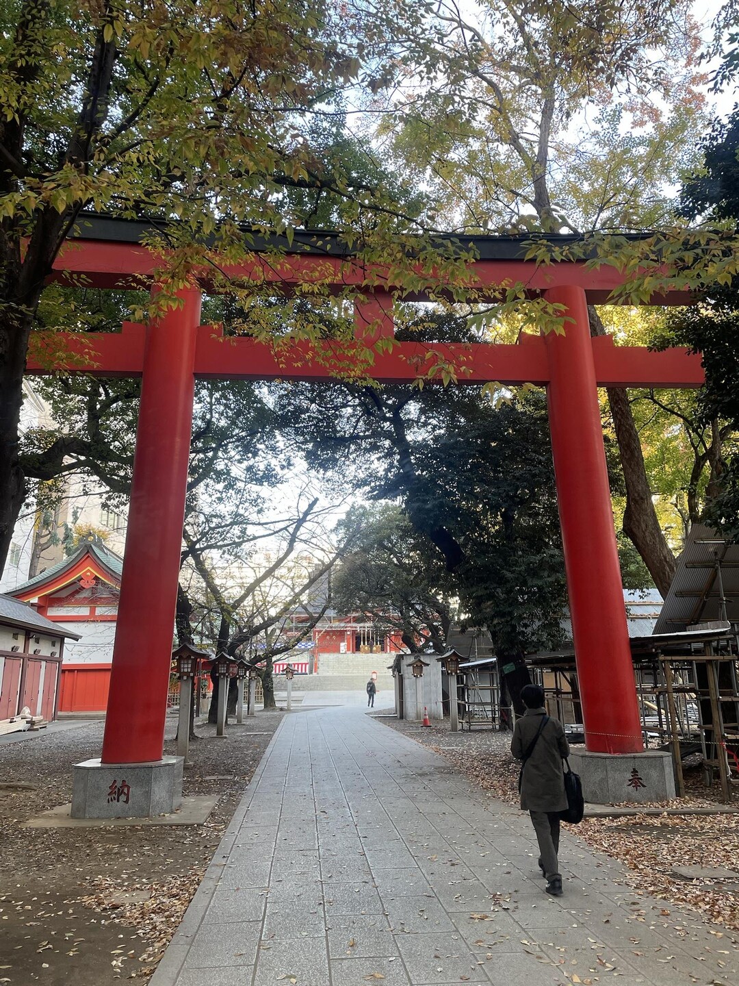 おはようございます、 今日は健康診断(s... / Shoji-nさんのモーメント | YAMAP / ヤマップ