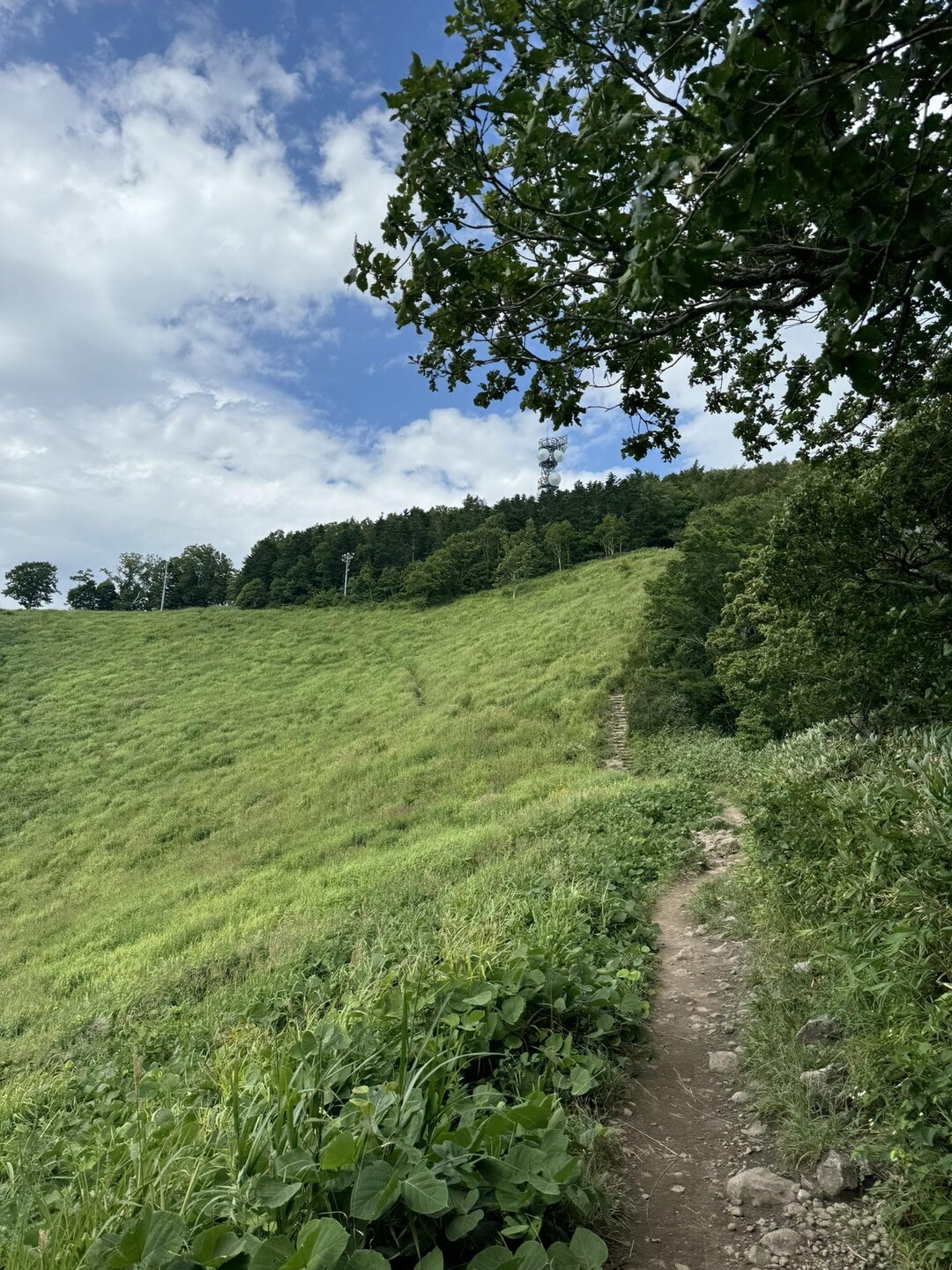 山鼻山・藻岩山 / ASAさんの藻岩山の活動データ | YAMAP / ヤマップ