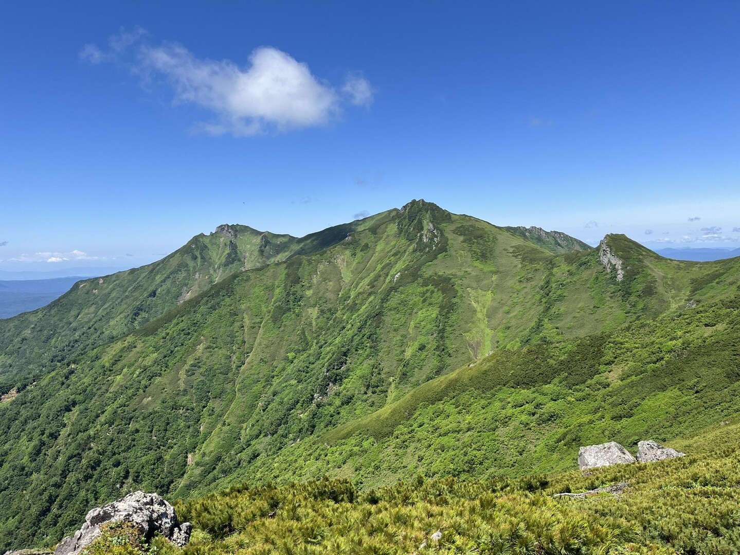 大雪山トレイルジャーニー2024 60K / Kuniさんのニセイカウシュッペ山・平山・朝陽山の活動データ | YAMAP / ヤマップ