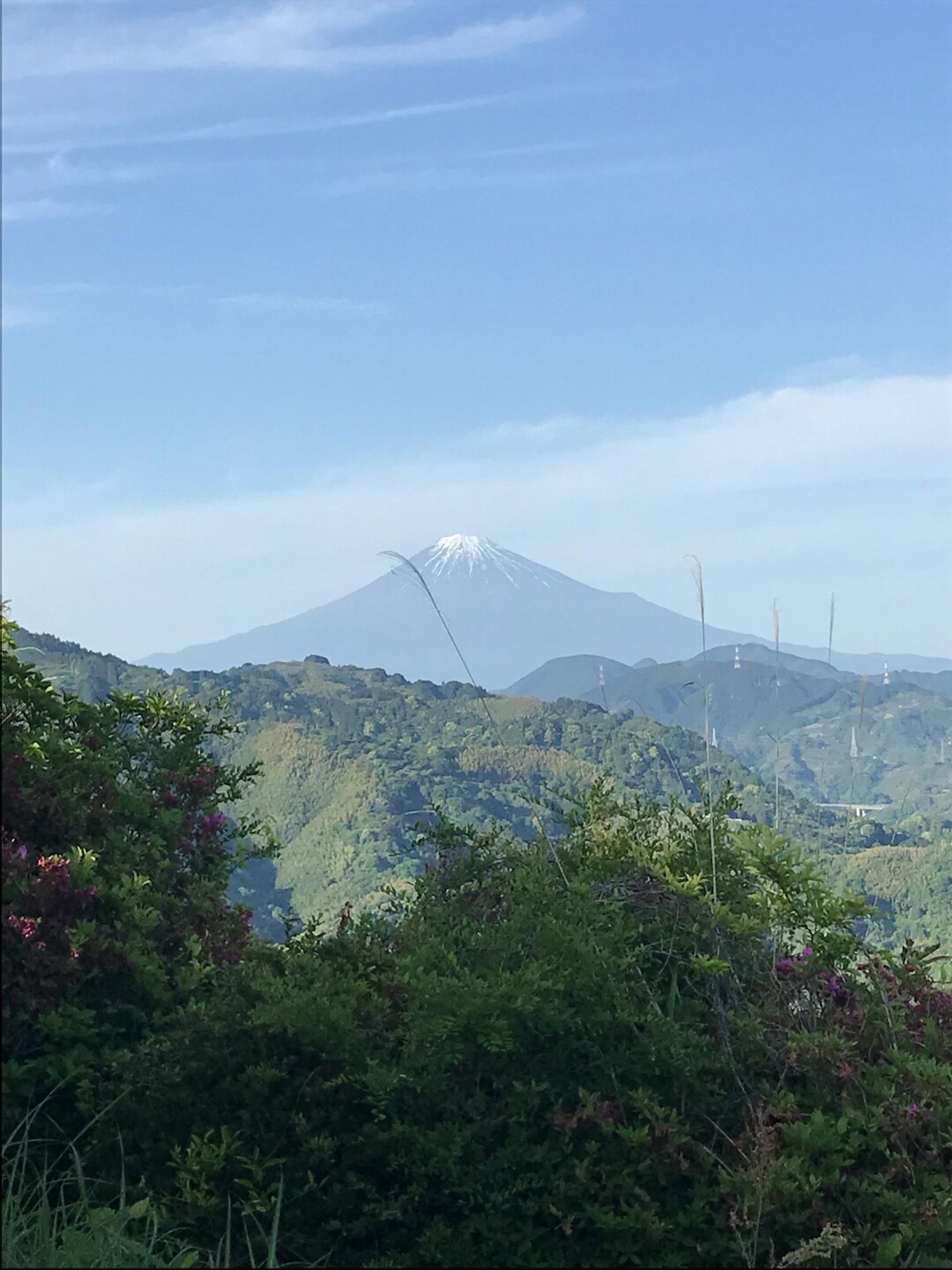 日本平から帆掛山へ / Kazu.Muさんの高山・欅立山・梶原山の活動データ | YAMAP / ヤマップ