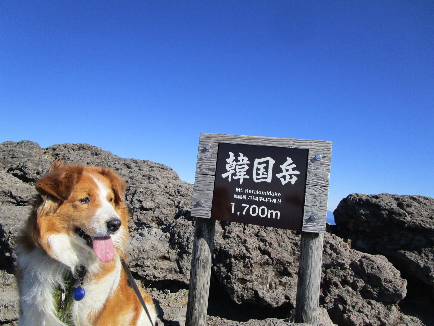 韓国岳300座目記念登山🐶🐾 / チャゲ🐾さんの霧島山・韓国岳・高千穂峰・夷守岳・烏帽子岳の活動日記 | YAMAP / ヤマップ