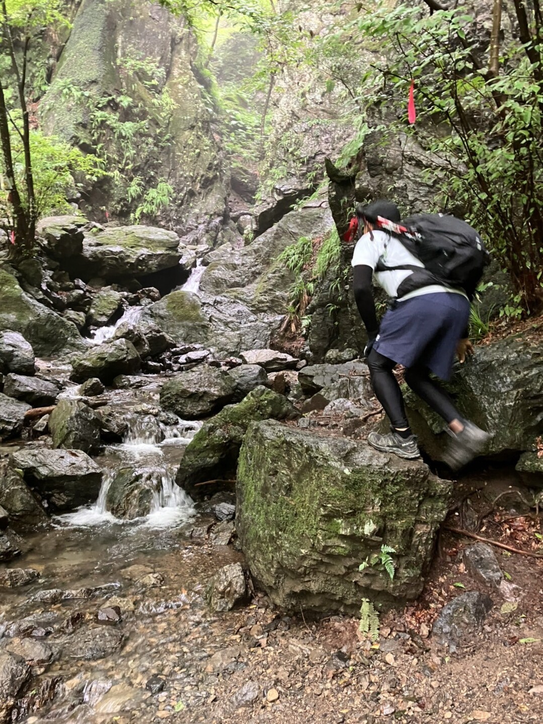 棒ノ折山（棒ノ嶺）-2022-08-06 / shinjiさんの棒ノ折山（棒ノ嶺）の活動日記 | YAMAP / ヤマップ