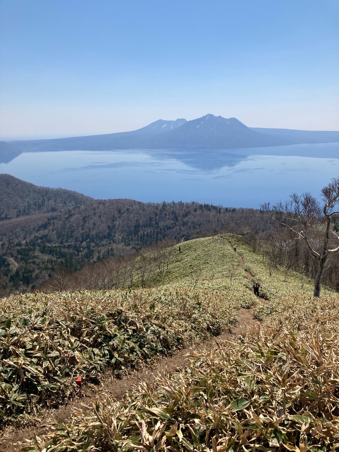 イチャンコッペ山 / AKさんのイチャンコッペ山の活動データ | YAMAP / ヤマップ
