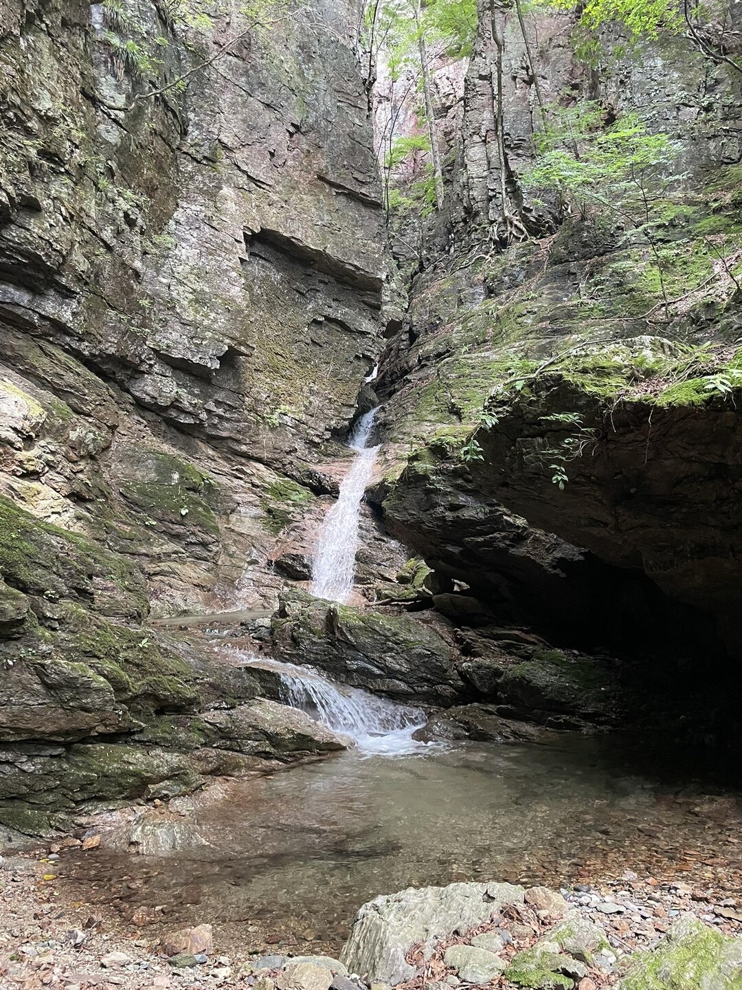 橋倉川 沢登り / R-L-Rさんの笠丸山の活動データ | YAMAP / ヤマップ