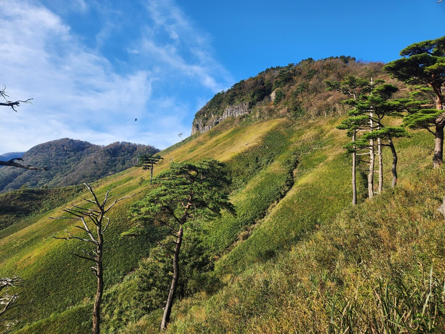 初🎵船上山 / koroさんの大山・甲ヶ山・野田ヶ山の活動データ | YAMAP / ヤマップ