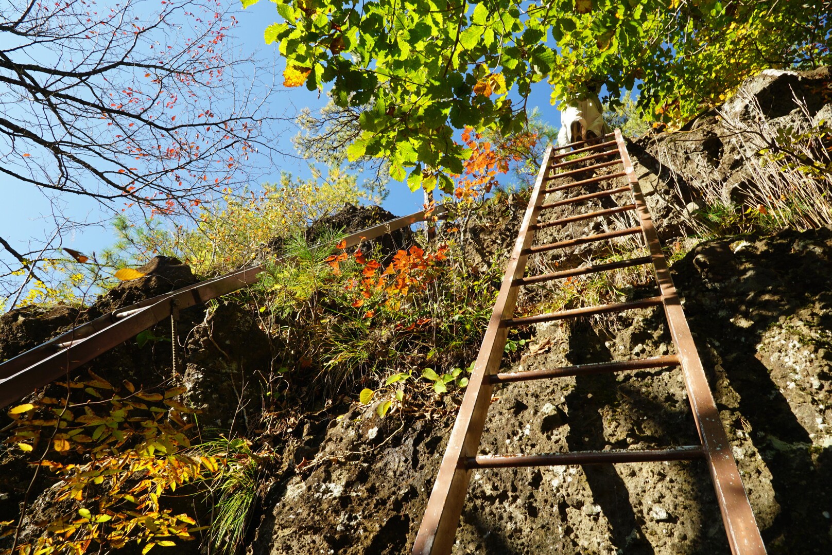霊山・こどもの村 / mss53さんの霊山の活動データ | YAMAP / ヤマップ