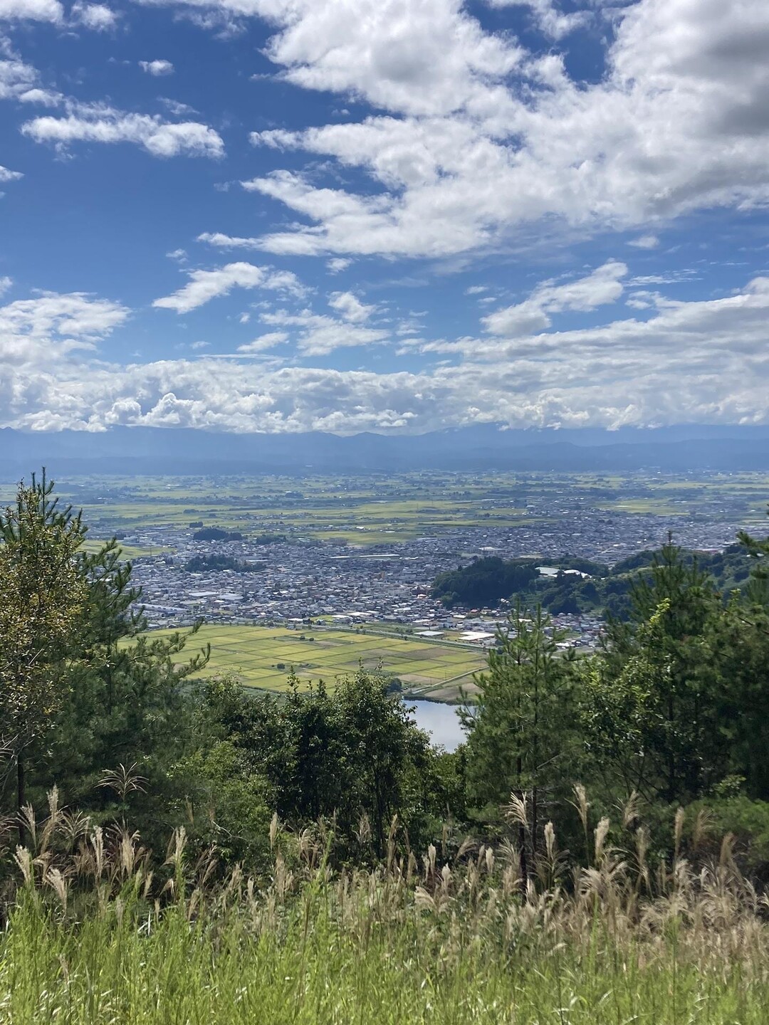 十分一山・高ツムジ山 / Hikaruさんの高ツムジ山・十分一山の活動データ | YAMAP / ヤマップ