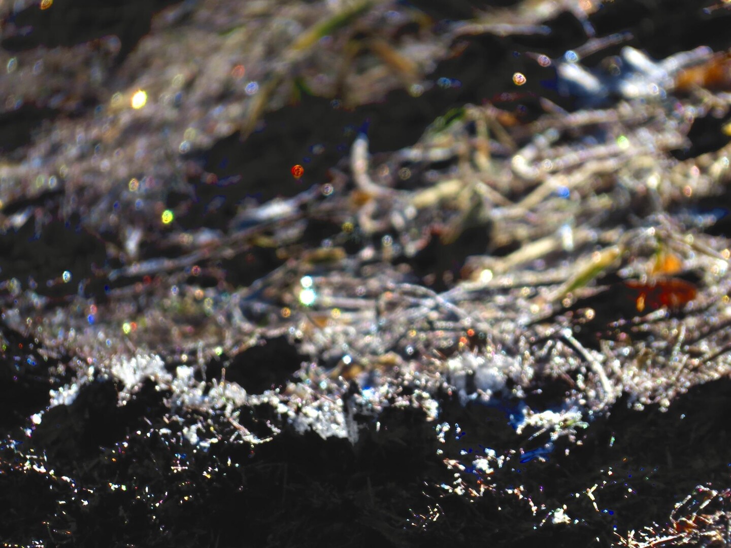 厳冬期シーズン収めは編笠山☃️ / asimkさんの八ヶ岳（赤岳・硫黄岳・天狗岳）の活動データ | YAMAP / ヤマップ