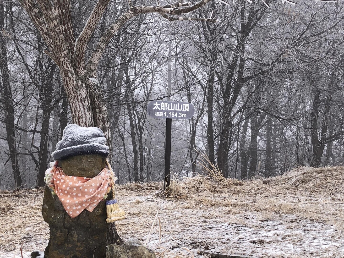 今年、初の太郎山(1回目) / SamuSamuさんの太郎山の活動データ | YAMAP / ヤマップ