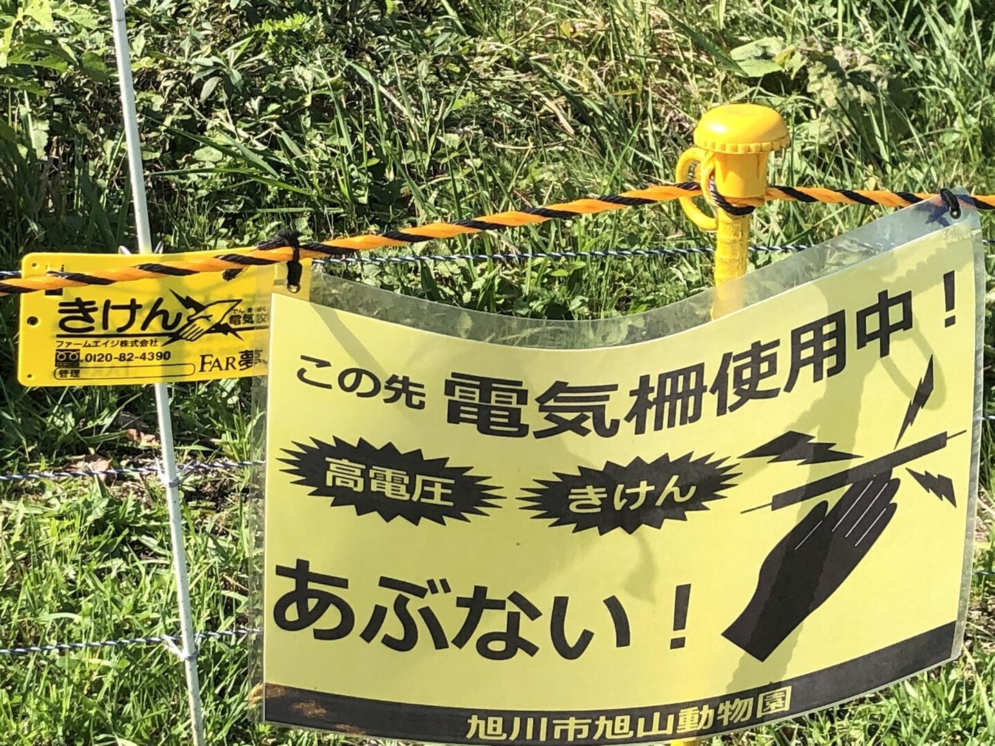 旭山 #113 / mappyさんの旭山の活動データ | YAMAP / ヤマップ