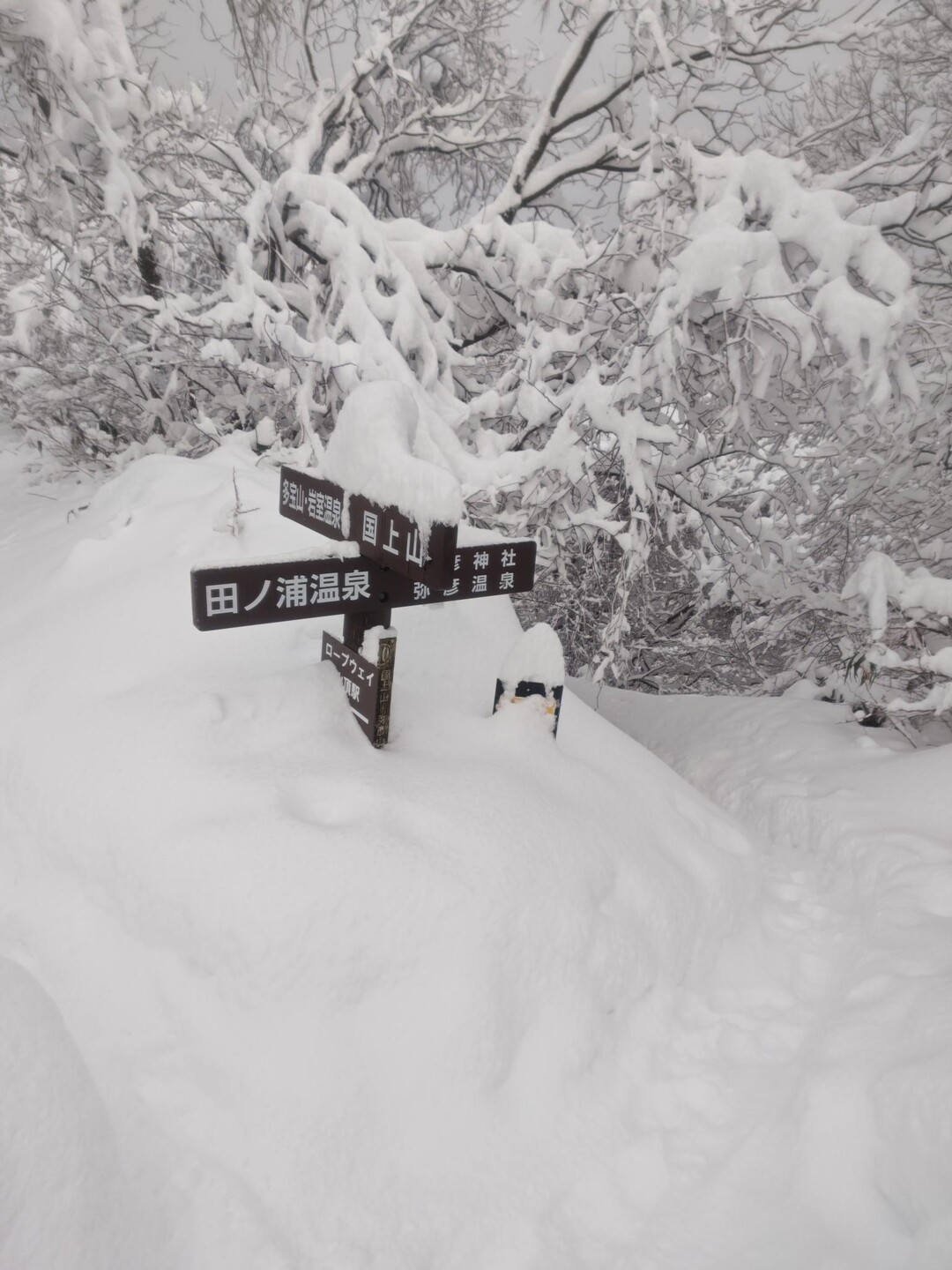 昨日多宝山の下山途中でYAMAPの軌跡が... / YASUさんのモーメント | YAMAP / ヤマップ