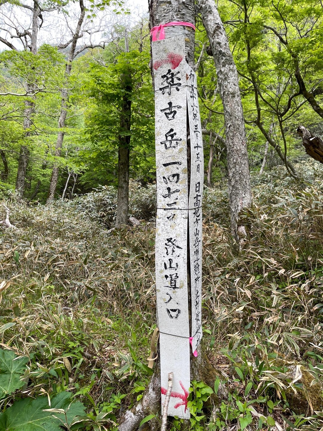 強風に煽られ2度目の楽古岳へ / izumi.moさんの楽古岳の活動データ | YAMAP / ヤマップ