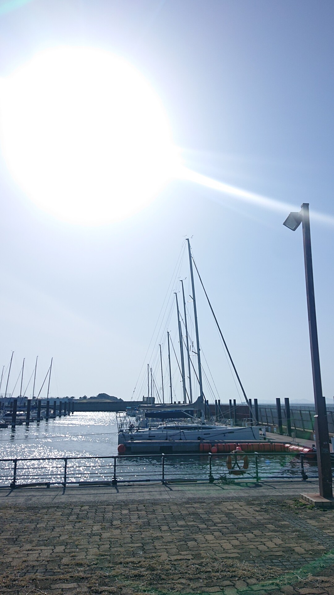 淀川(軌跡作り) / Bigさんのポンポン山・釈迦岳・小塩山・若山の活動データ | YAMAP / ヤマップ