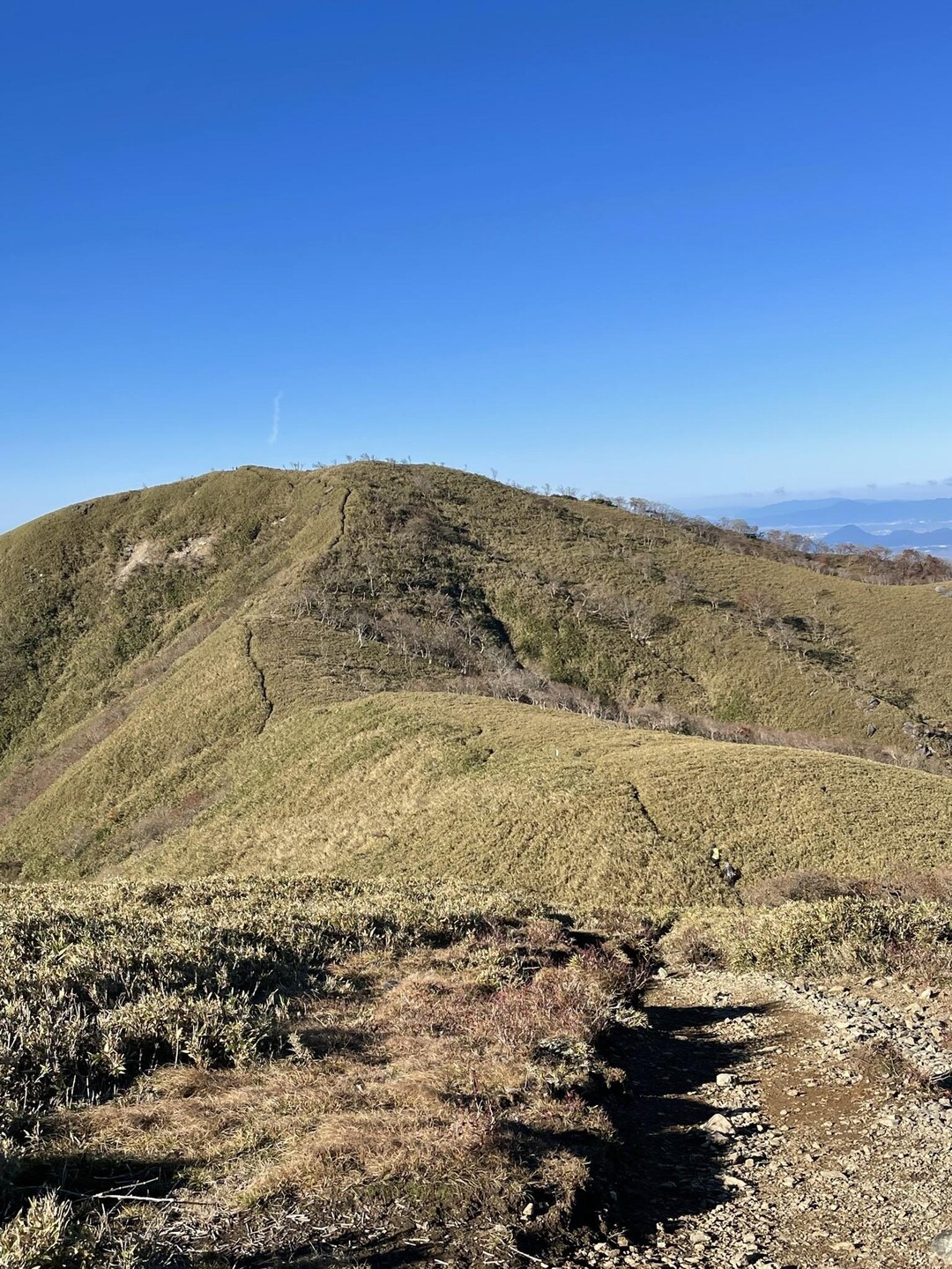 道迷いしてしまった雨乞岳 / Y.PANDAさんの入道ヶ岳・鎌ヶ岳・仙ヶ岳の活動データ | YAMAP / ヤマップ