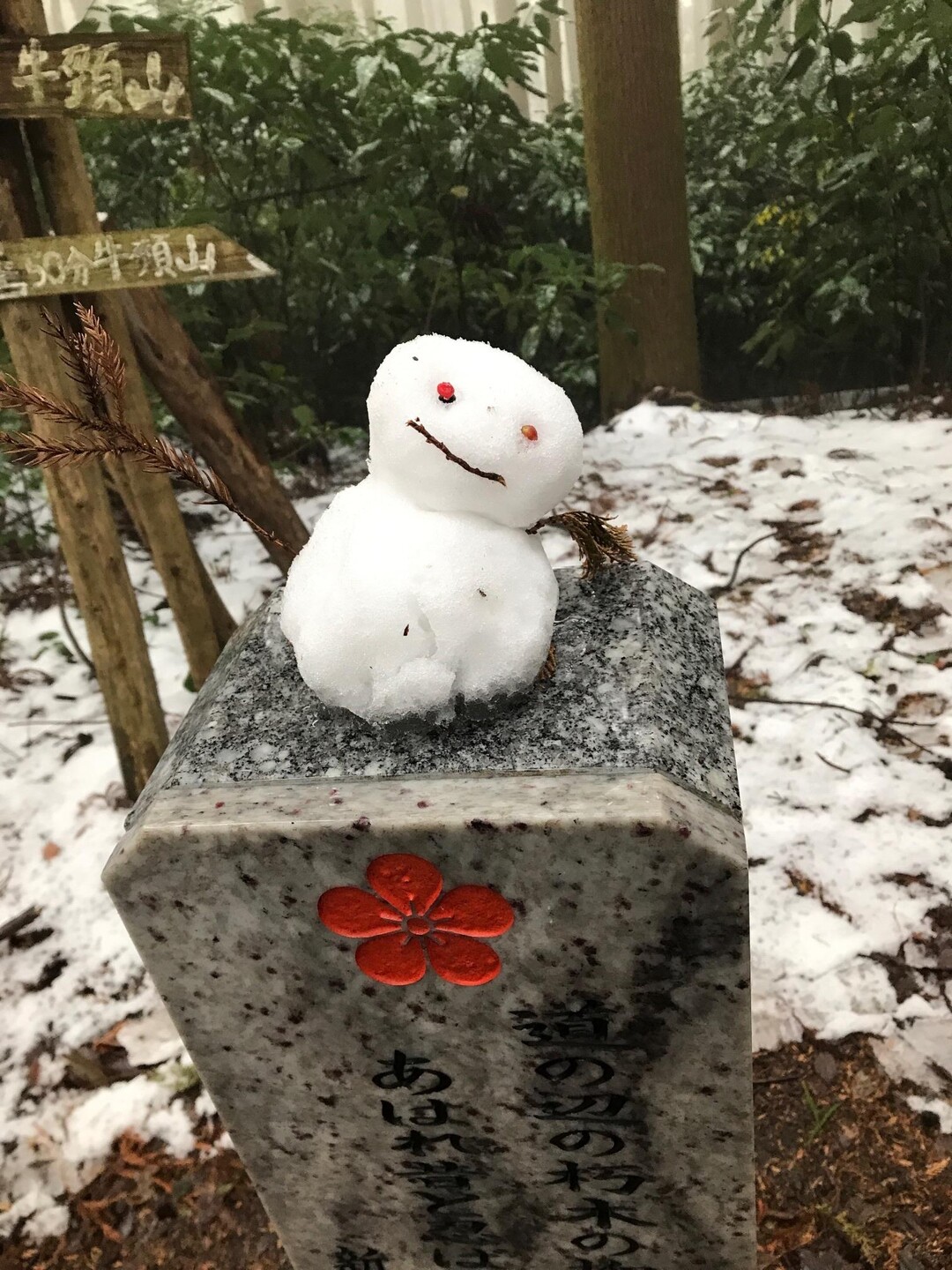 天拝山 / MM45さんの天拝山・基山の活動データ | YAMAP / ヤマップ