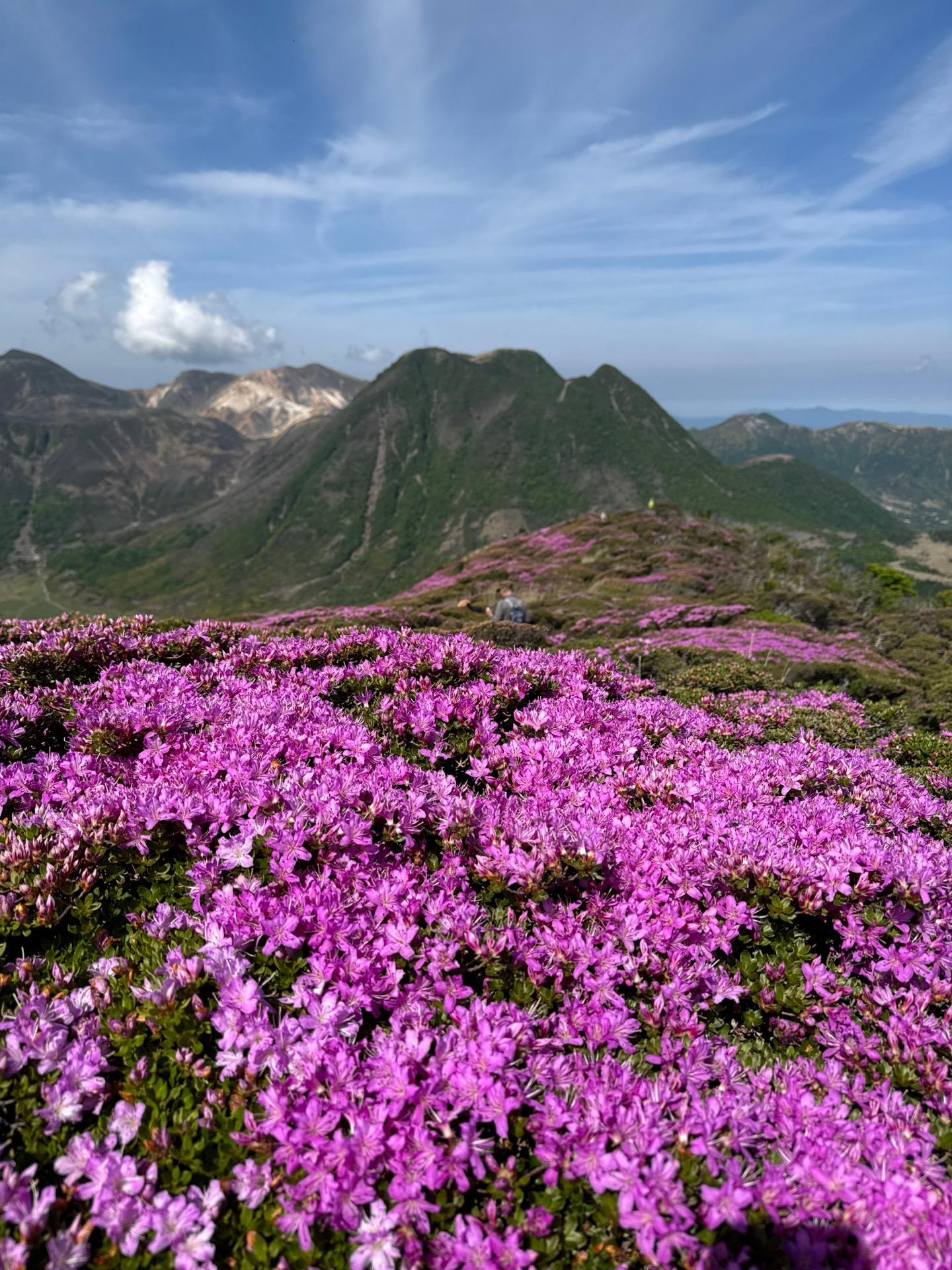平治岳（坊ガツル_テン泊） / ヒロくんさんの九重山（久住山）・大船山・星生山の活動データ | YAMAP / ヤマップ