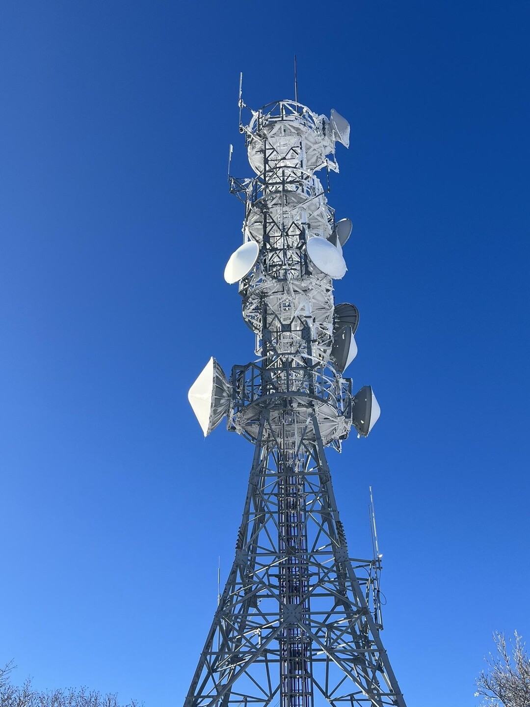 藻岩山 2024.1.28青天☀️ / mappyさんの藻岩山の活動データ | YAMAP / ヤマップ