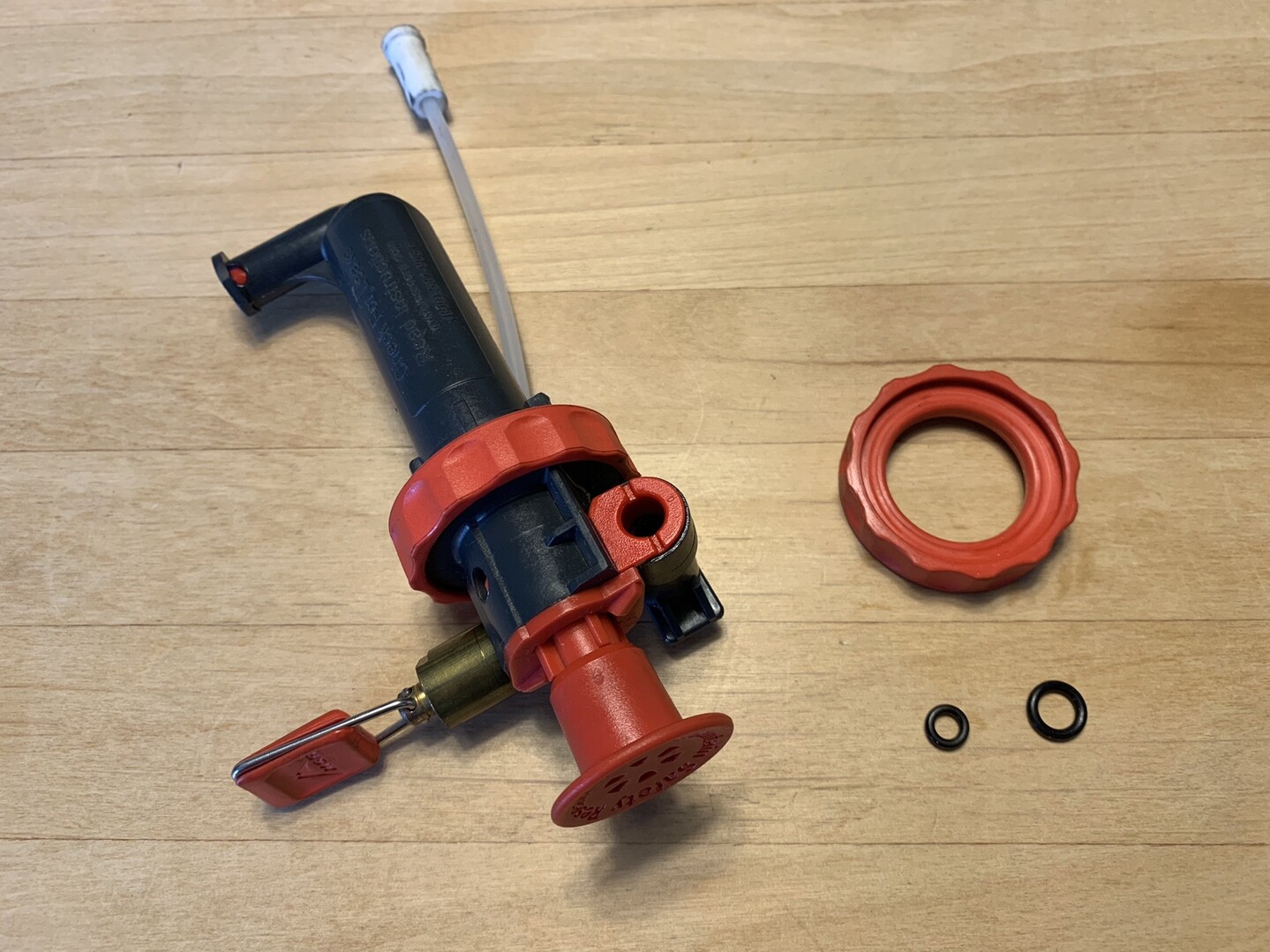 先日の蛇峠山に連れて行こうと思ってたガソ... / ma_star5jpさんのモーメント | YAMAP / ヤマップ