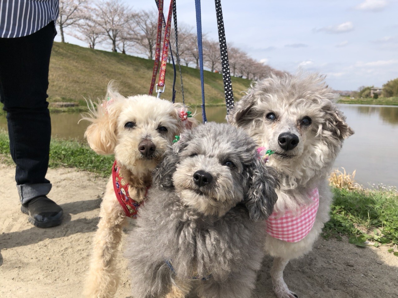 kinのページ | YAMAP / ヤマップ