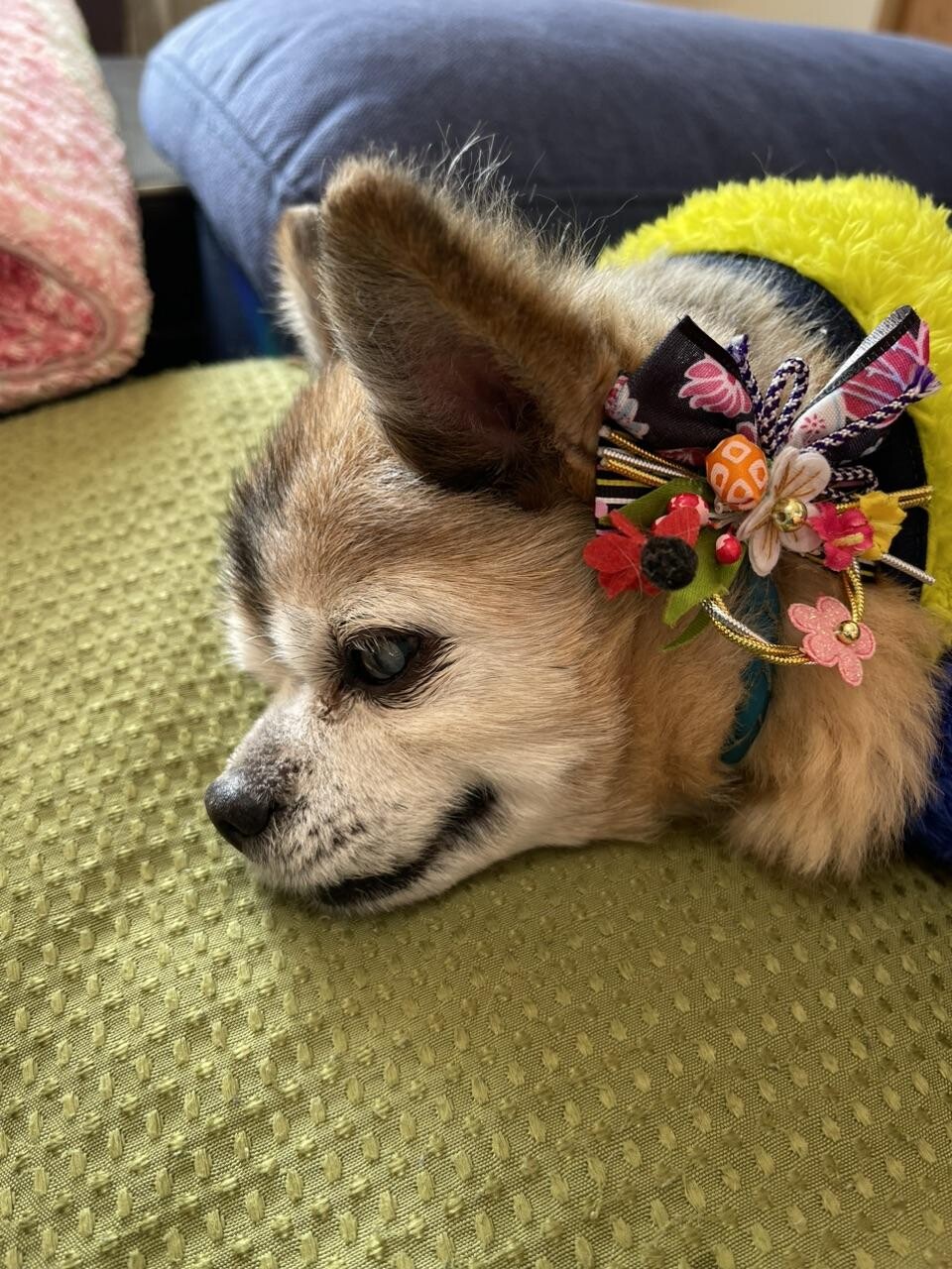 chizuのページ | YAMAP / ヤマップ