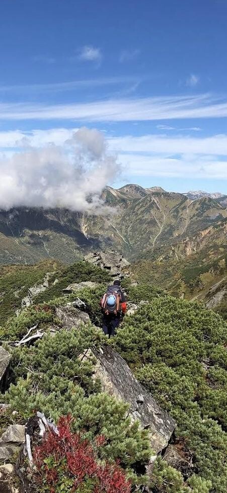 zimaのページ | YAMAP / ヤマップ