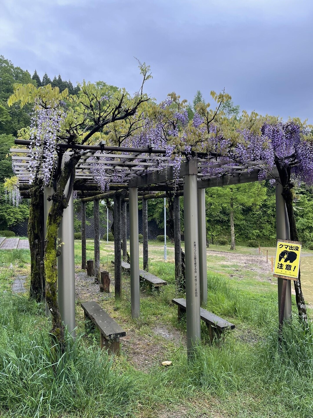 三千坊山-2023-04-30 / keiさんの三千坊山の活動データ | YAMAP / ヤマップ