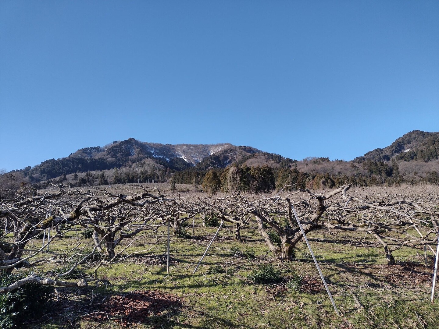 角田山 / Andrewさんの角田山の活動データ | YAMAP / ヤマップ