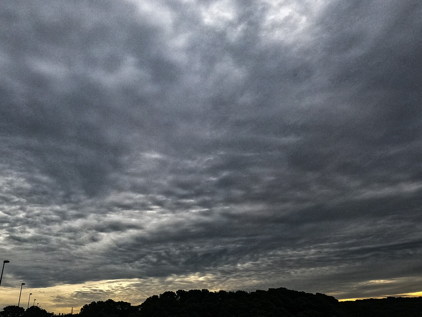 さ、お仕事がんばりましょう！！！ 曇り... / ☆WHITE FOX彡さんのモーメント | YAMAP / ヤマップ