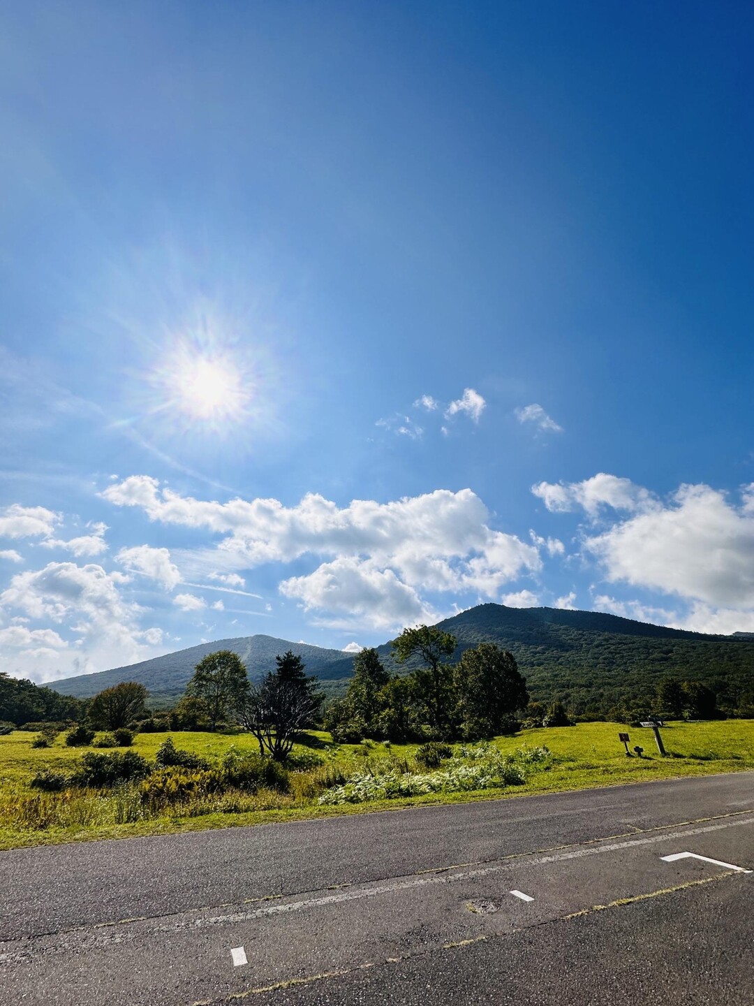 西森山・前森山 / tsuttoさんの岩手山・八幡平・安比高原 50km トレイルの活動データ | YAMAP / ヤマップ