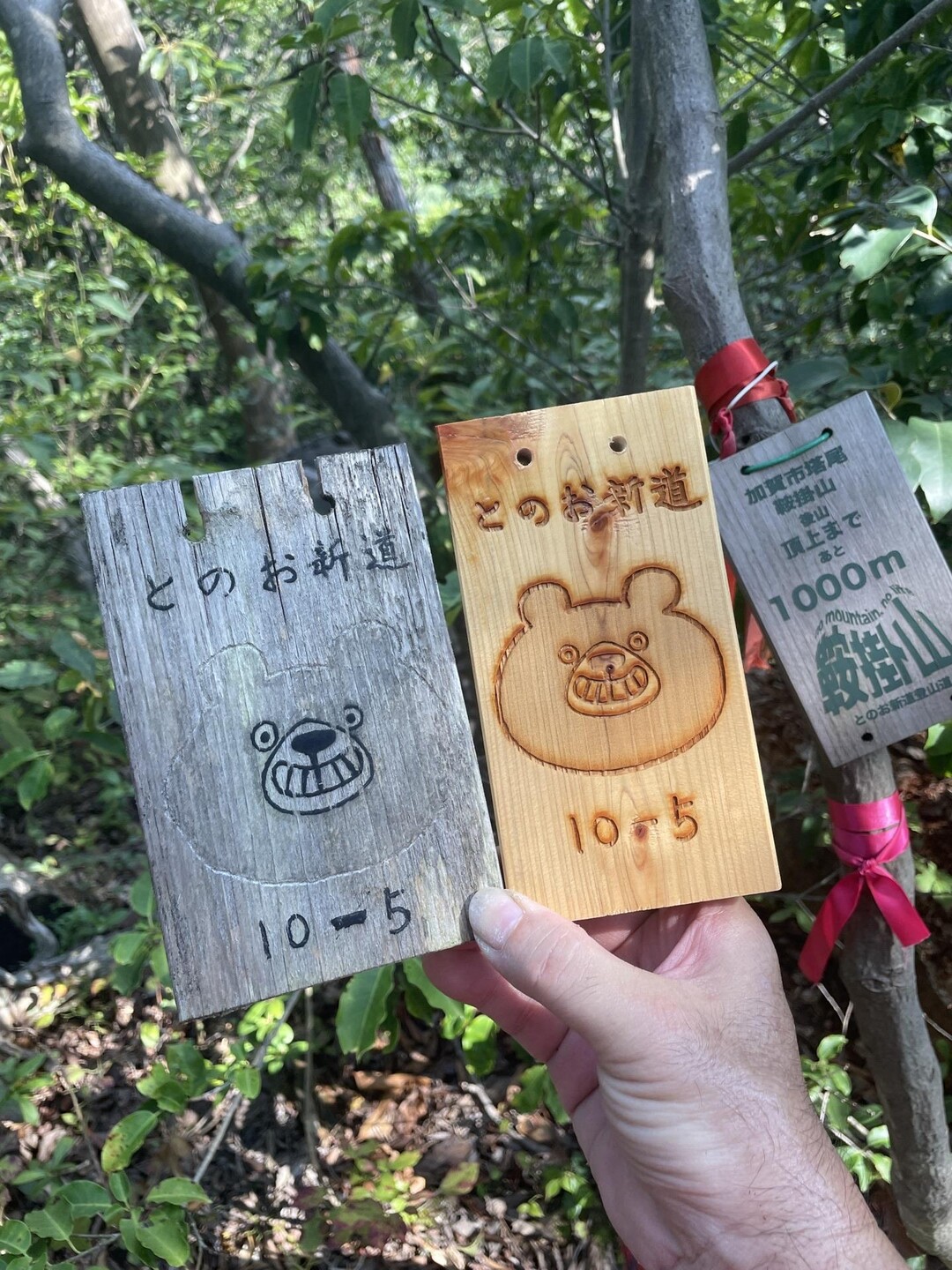 加賀とのお新道🐻さん壊れた10-5交換... / ブラザーK5(Mt.Kurakake brothers)さんのモーメント | YAMAP / ヤマップ